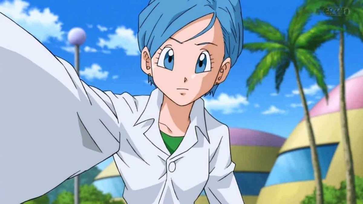 Bulma | Universal Dragon Ball Wiki | Fandom