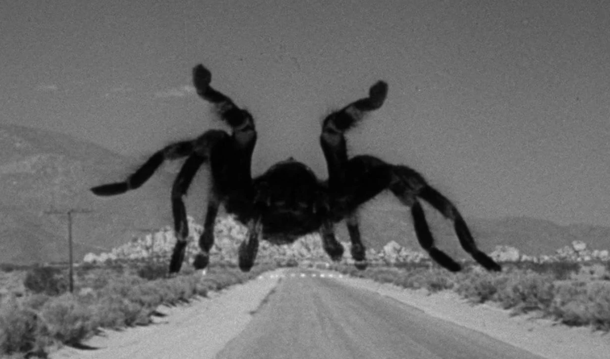 Tarantula | Universal Parks and Resorts Wiki | Fandom