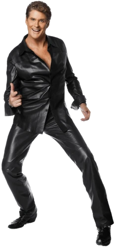 David Hasselhoff (character) | Universal Pictures Wiki | Fandom