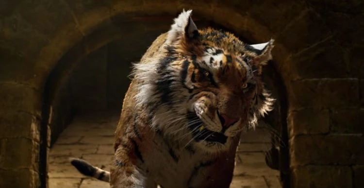 Barry | Universal Pictures Wiki | Fandom