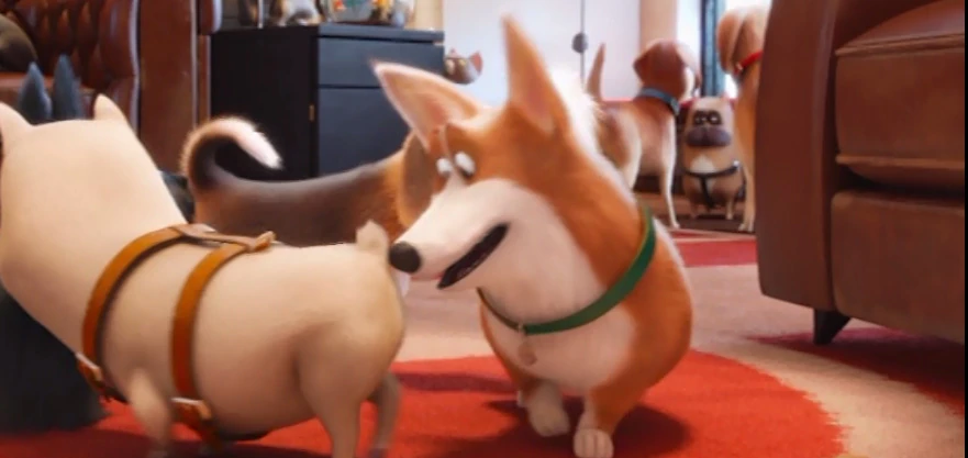 Corgi | Universal Pictures Wiki | Fandom