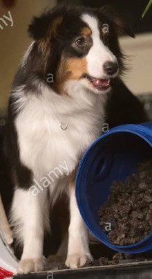 Daisy | Universal Pictures Wiki | Fandom