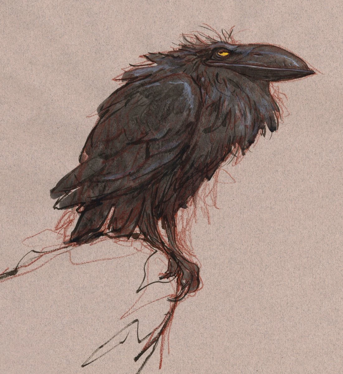 Larrikins | Fanon Kingdom Wiki | Fandom