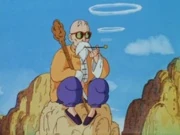 Master Roshi | Universal Dragon Ball Wiki | Fandom