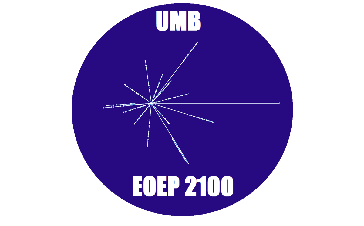 Empires of Earth Project 2100 | Universal Mini Builders Wiki | Fandom