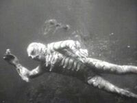 Gill-man | Universal Monsters Wiki | Fandom