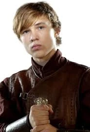 Peter Pevensie | Universal Protection Council Wiki | Fandom