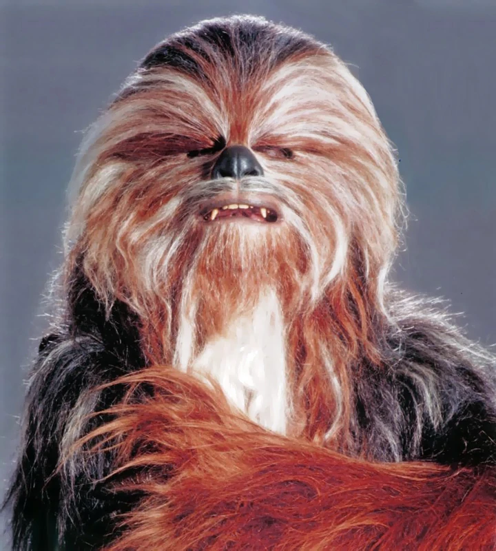 Yarua | Universal Protection Council Wiki | Fandom