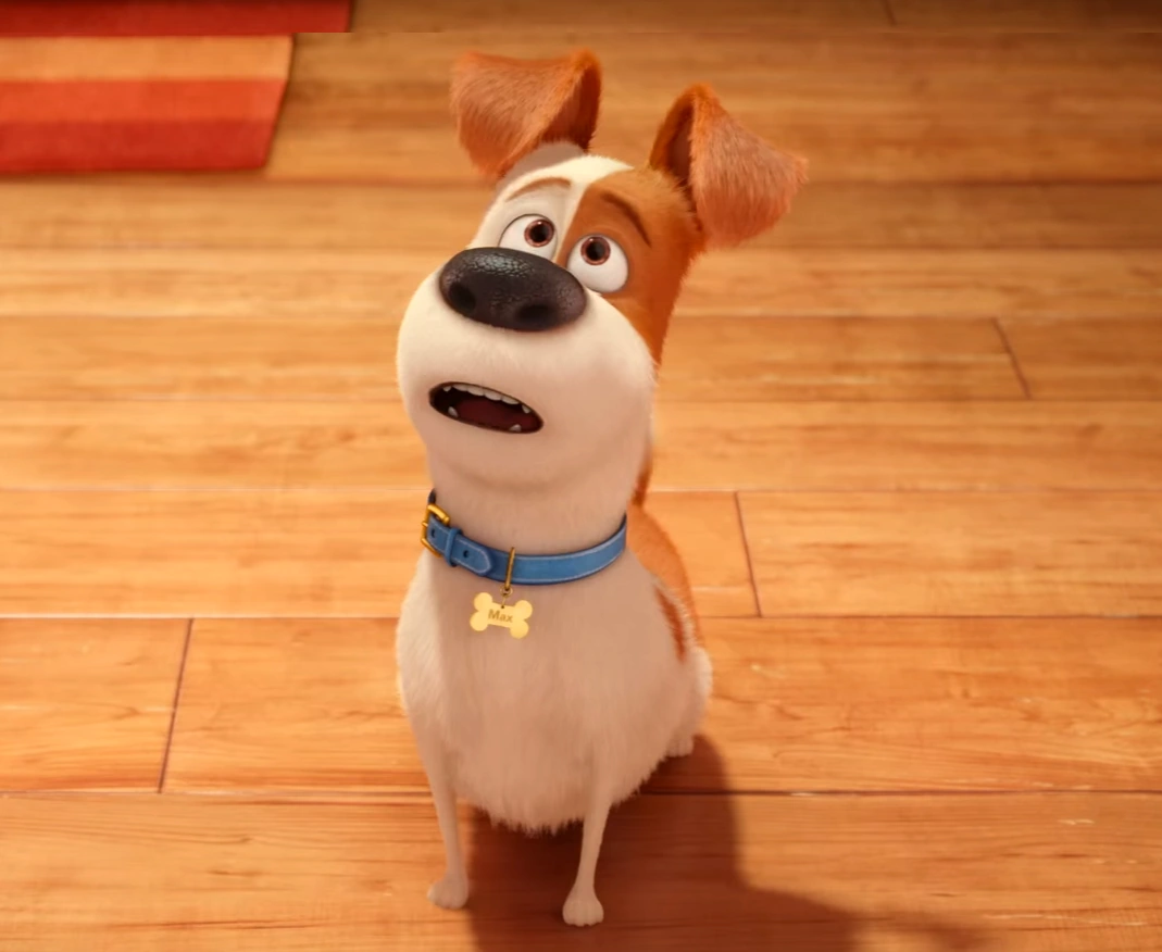Max (The Secret Life of Pets)/Gallery | Universal Studios Wiki | Fandom