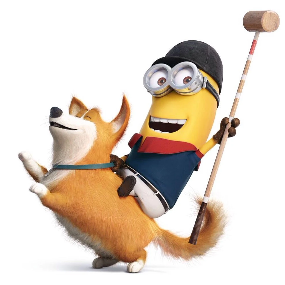 Corgi | Universal Studios Wiki | Fandom