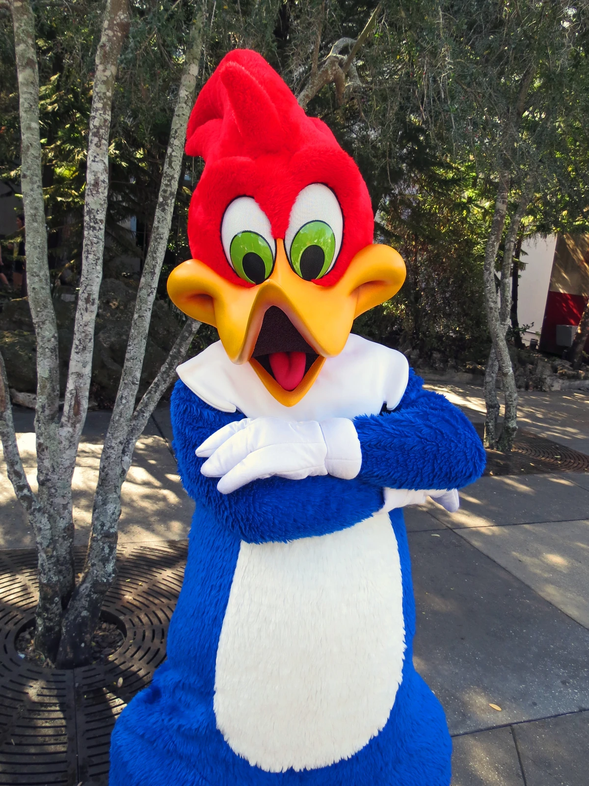 Theme Park Characters/Face Characters | Universal Studios Wiki | Fandom