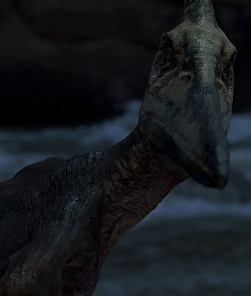 Alpha Pteranodon (Jurassic Park III) | Universal Studios Wiki | Fandom