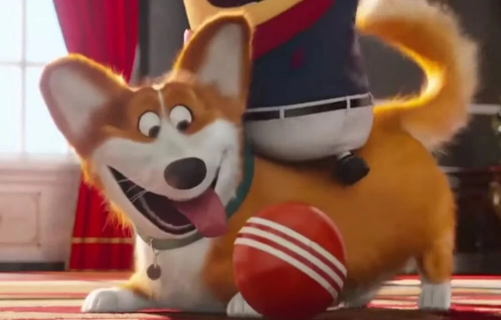 Corgi | Universal Studios Wiki | Fandom