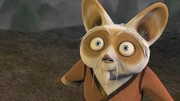 Shifu | Universal Studios Wiki | Fandom