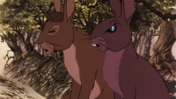 Watership Down (film) | Universal Studios Wiki | Fandom