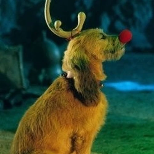 Max Costume From The Grinch