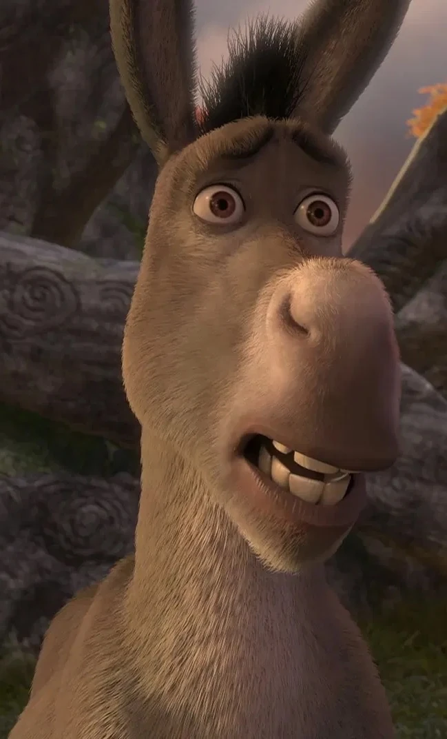 Shrek And Donkey