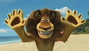 Madagascar (video)/Gallery | Universal Studios Wiki | Fandom