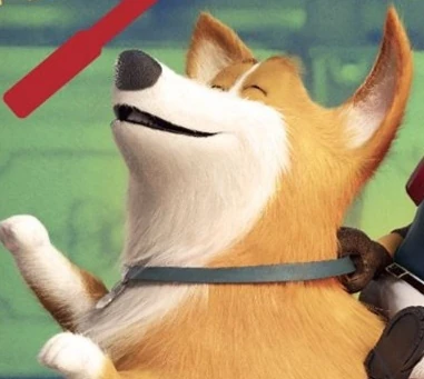 Corgi collar | Universal Studios Wiki | Fandom