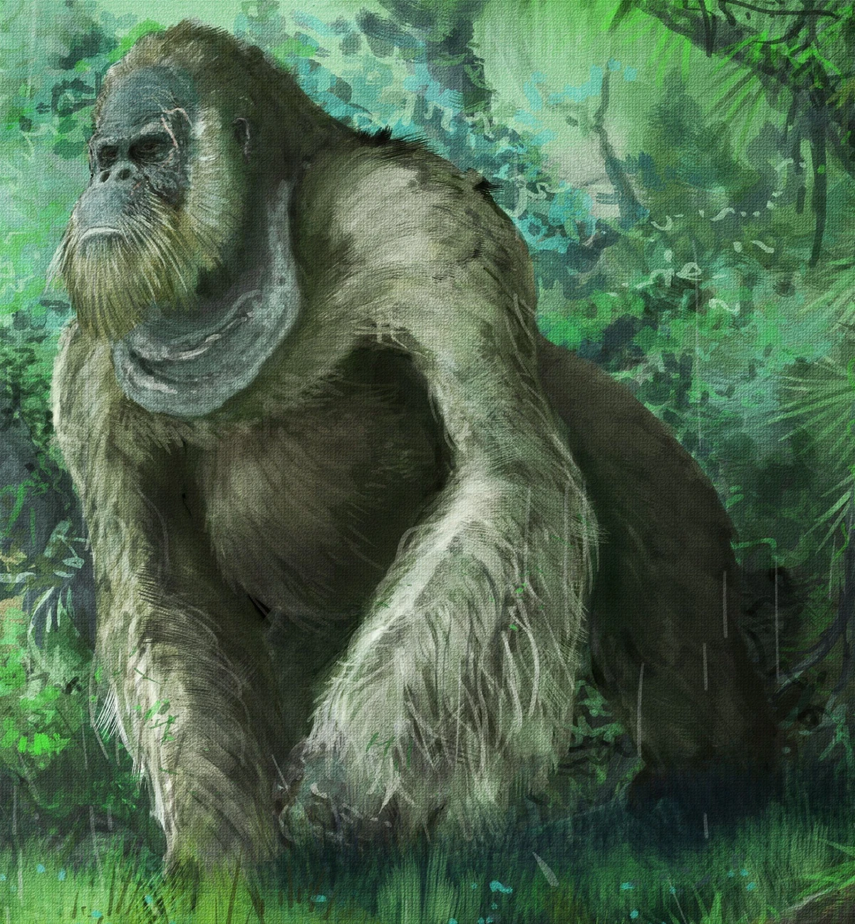 Gigantopithecus | Universe Legends of Izgaldina Wiki | Fandom