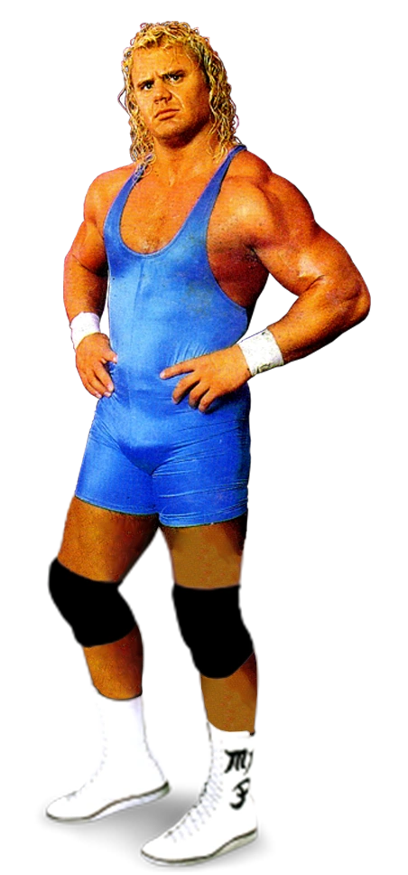 Mr. Perfect | Universe of Smash Bros Lawl Wiki | Fandom