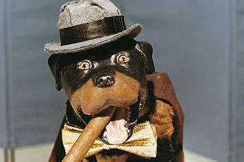 Triumph, the Insult Comic Dog | Universe of Smash Bros Lawl Wiki | Fandom