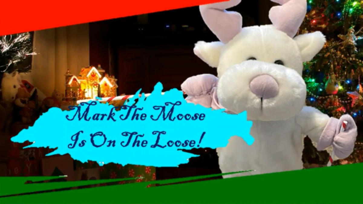 Mark the Moose | Universe of Smash Bros Lawl Wiki | Fandom