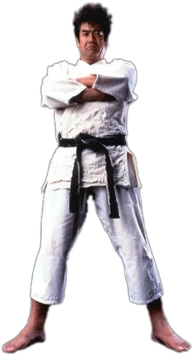 Segata Sanshiro | Universe of Smash Bros Lawl Wiki | Fandom