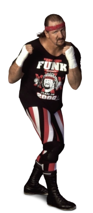 Terry Funk | Universe of Smash Bros Lawl Wiki | Fandom