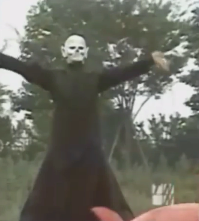 The Zygote Brothers | Universe of Smash Bros Lawl Wiki | Fandom