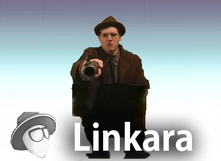Linkara | Universe of Smash Bros Lawl Wiki | Fandom