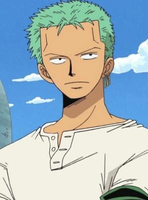 Roronoa Zoro | The CW Wiki | Fandom