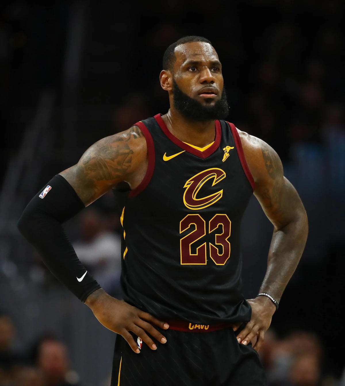 LeBron James | Universecwsports Wiki | Fandom