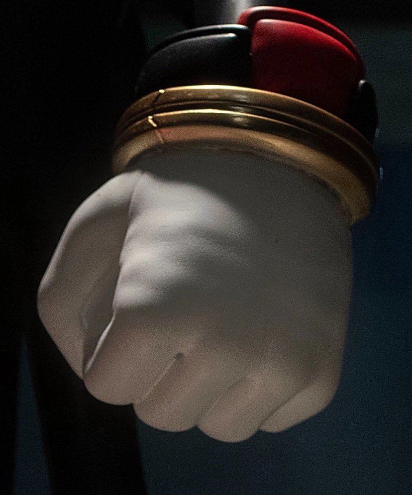 Anillos Inhibidores | Wiki Universo Cinematográfico de Sonic | Fandom