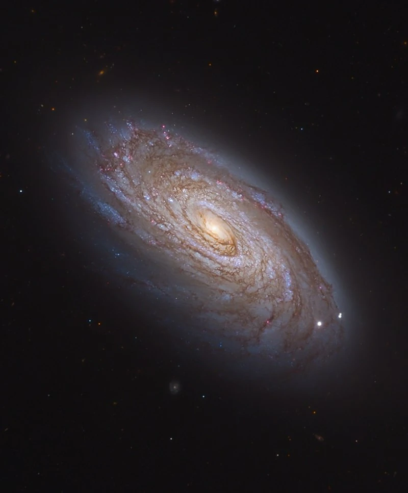 NGC 4501 | Wiki Universo SIS4 | Fandom