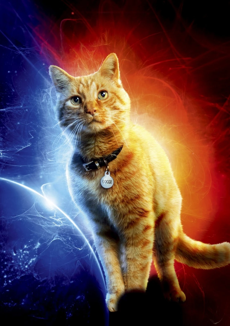 Goose | Wiki Universo Cinematográfico Marvel | Fandom
