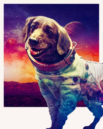 Cosmo | Wiki Universo Cinematográfico Marvel | Fandom