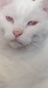 Red Eyes | Unknown Wiki | Fandom