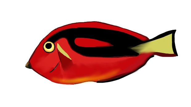 Regal Red Tang | Unknown Worlds Fanon Wiki | Fandom