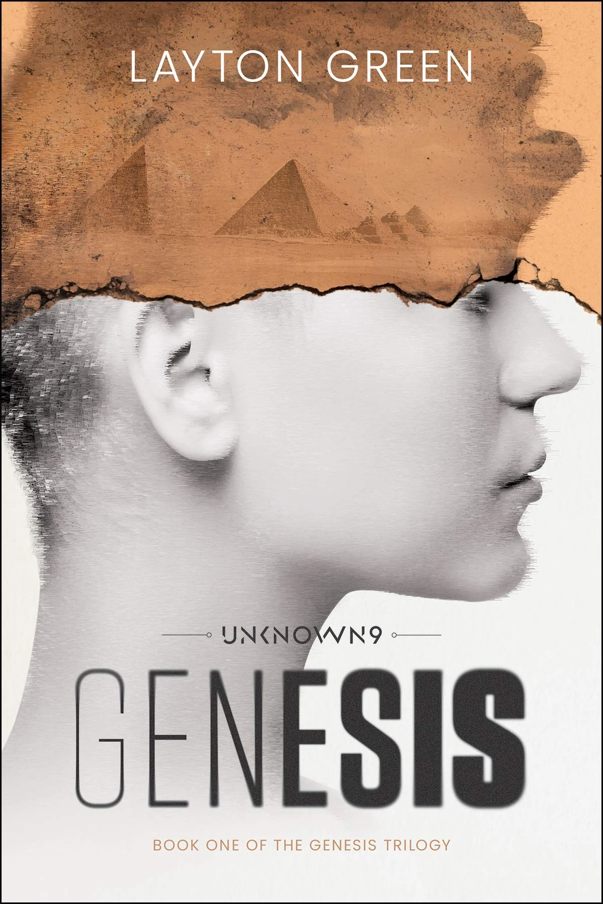 Book One | Unknown 9 Wiki | Fandom