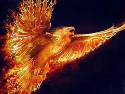 Burning Phoenix | UnleashedBeasts Wiki | Fandom