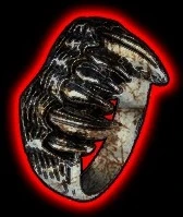 Demon Ring | UNLOVED Wikia | Fandom