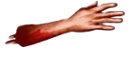 Severed Arm | UnMetal Wiki | Fandom