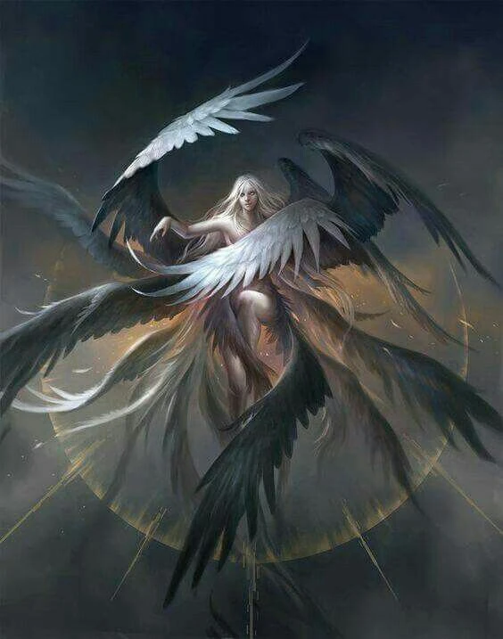 Seraphim | Unnatural World Wiki | Fandom