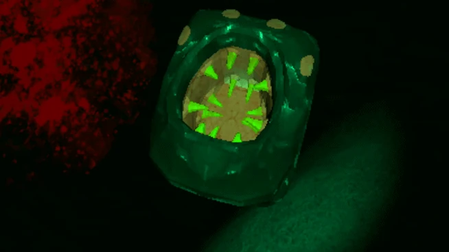 Fish Demon | (Unoffical) Big scary Wiki | Fandom