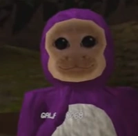 Capuchin | Unofficial Capuchin Wiki | Fandom
