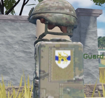 US military Ranks | Unofficial Command Authority Military Roleplay Wiki | Fandom