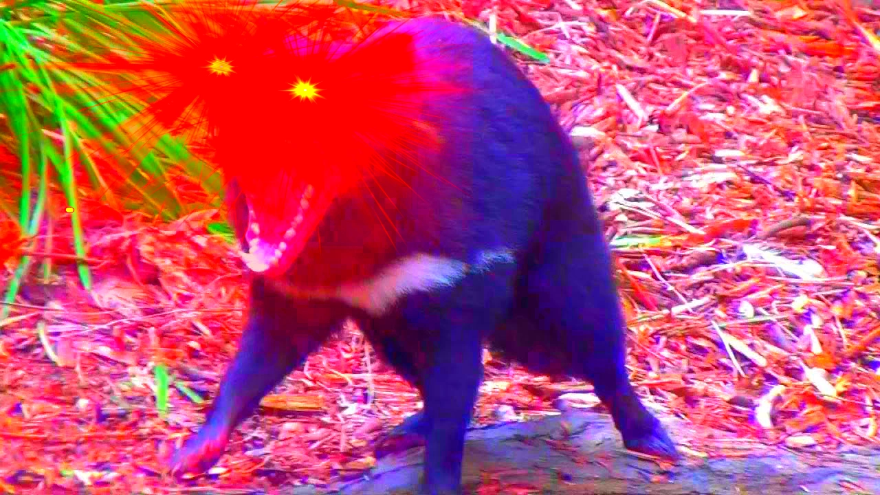 Discuss Everything About FNaS Fangame Wiki | Fandom