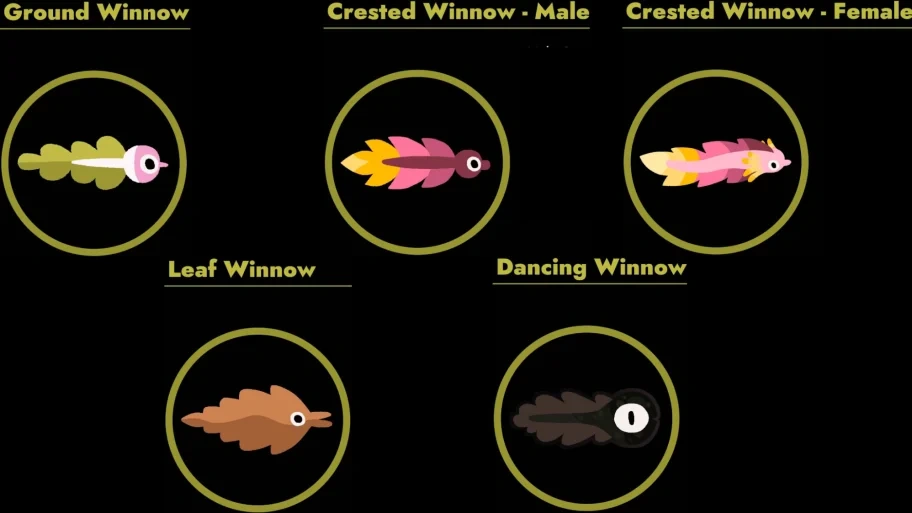 Winnows | Unofficial Flock Wiki | Fandom