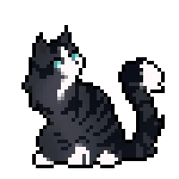 Oriole | Unofficial GalaxyClan Wiki | Fandom